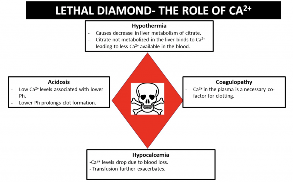 Teach – FOAMmedic